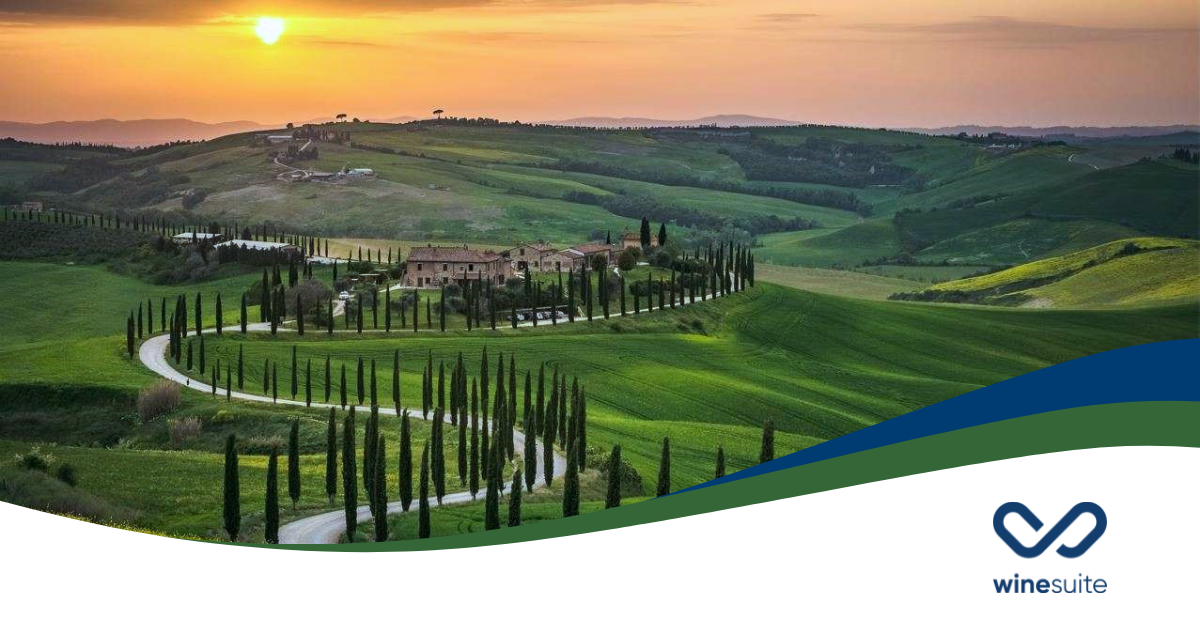 Osservatorio Wine Suite | Report Enoturismo Maremma